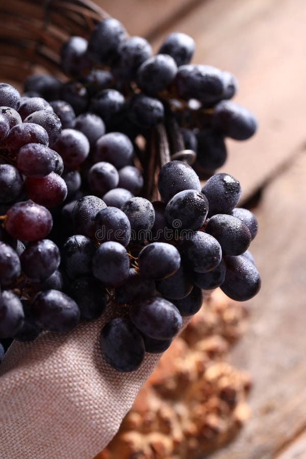 Ripe berry black grapes stock image. Image of healthy - 227375663
