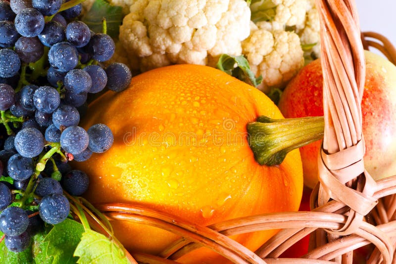 Organic ripe vegetables stock image. Image of autumn - 91696401