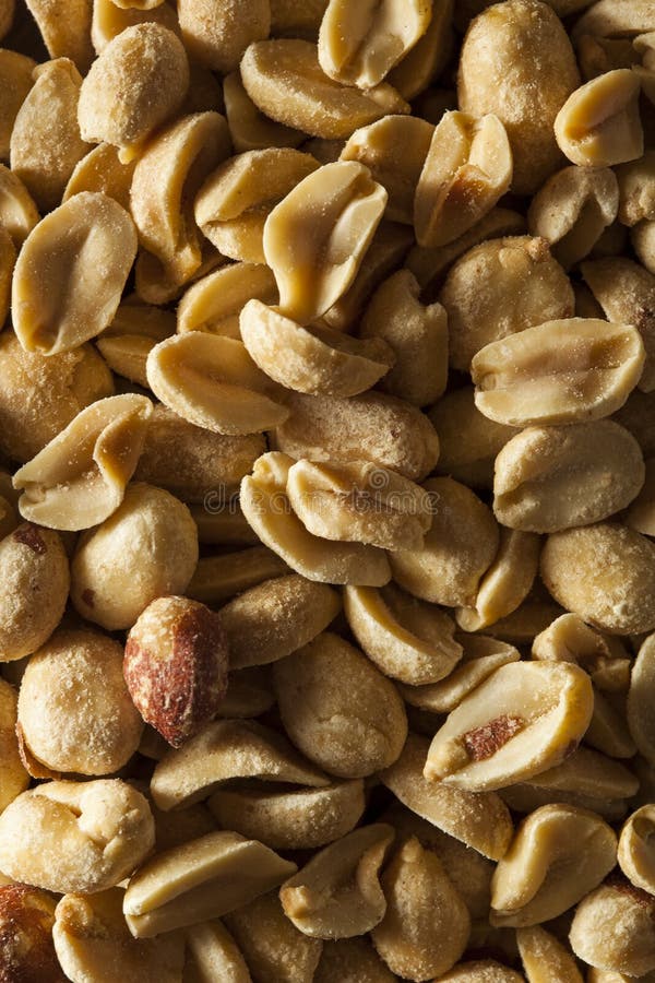 Organic Roasted Salty Peanuts Stock Image - Image of nutrition, shell ...