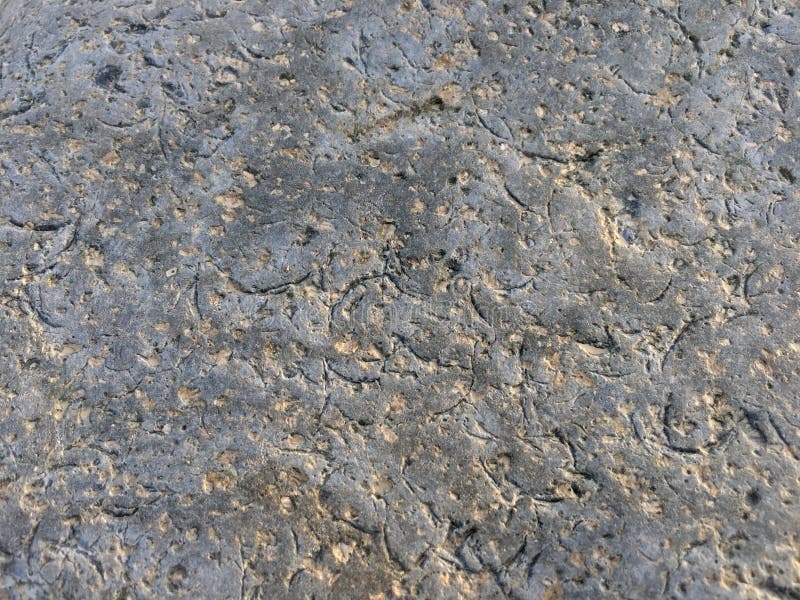 Organic Rock Sugar and Coffee Bean Stock Photo - Image of seed ...