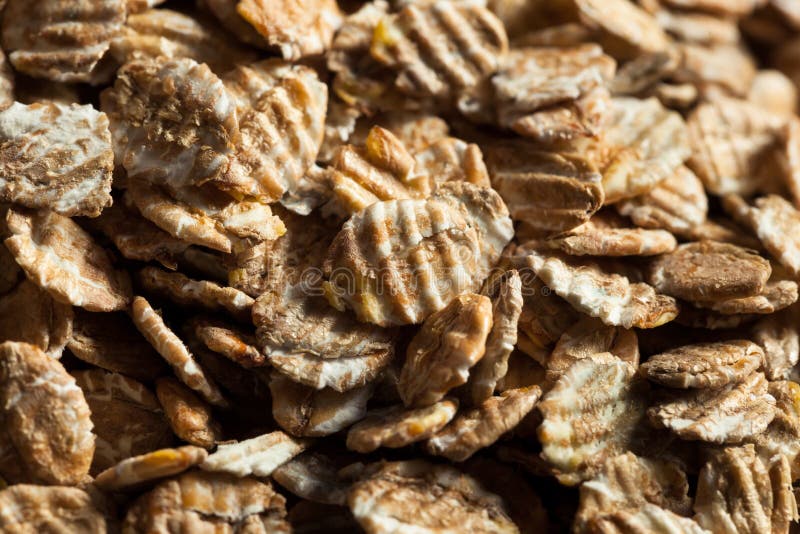 Organic Rolled Rye Flakes stock image. Image of seed - 74077315