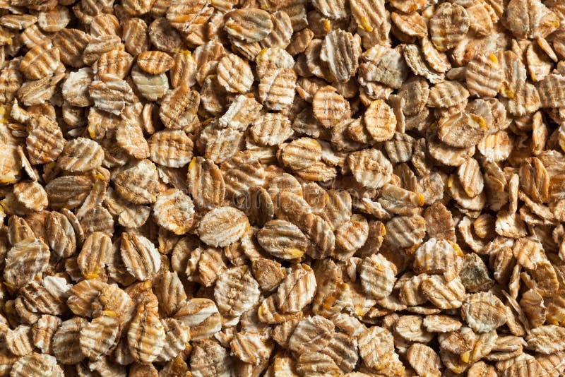 Organic Rolled Rye Flakes stock image. Image of seed - 74077315