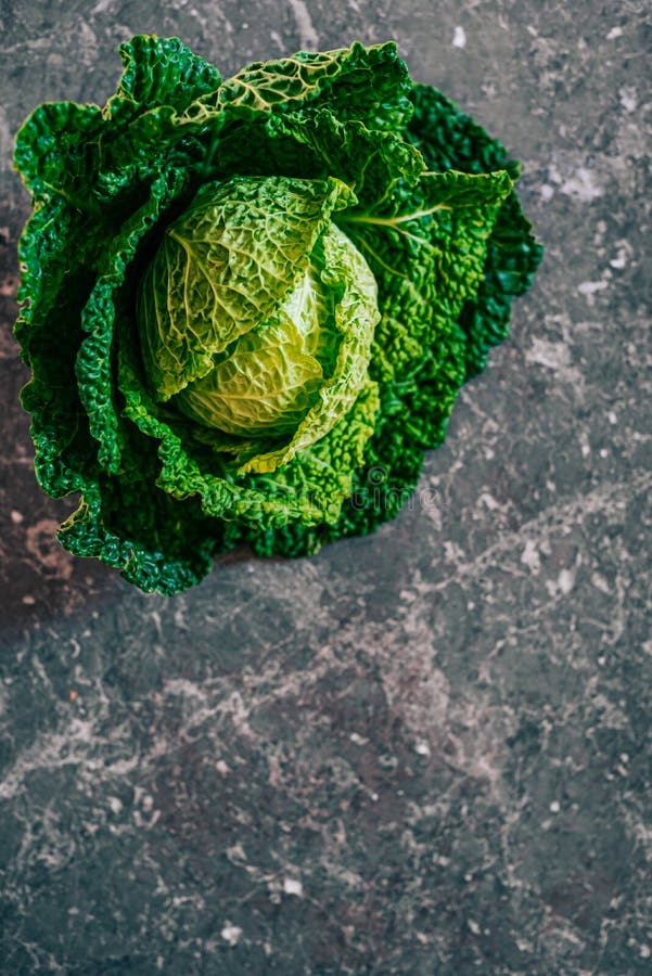 Organic Savoy Cabbage stock image. Image of ceramic - 201009423