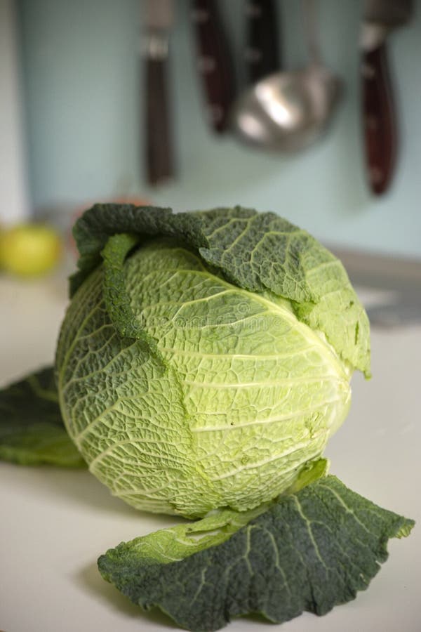 Organic Savoy Cabbage on a White Kitchen Table. Vertical Frame Stock ...