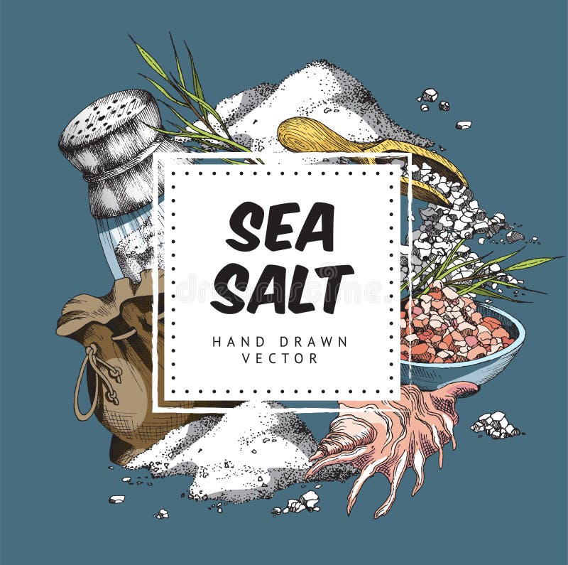 Organic Sea Salt Background Hand Drawn Colored Vector Illustration ...