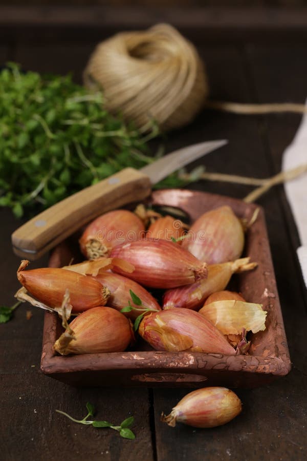 Organic shallots stock image. Image of fresh, onions - 126653689