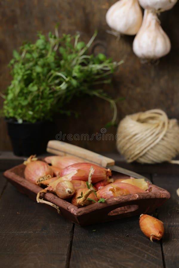 Organic shallots stock photo. Image of vegetarian, bulb - 126653676