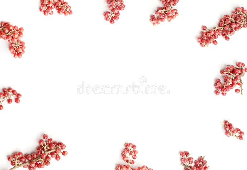 Organic Shepherdia Berries Background Border. Food Frame Stock Image ...
