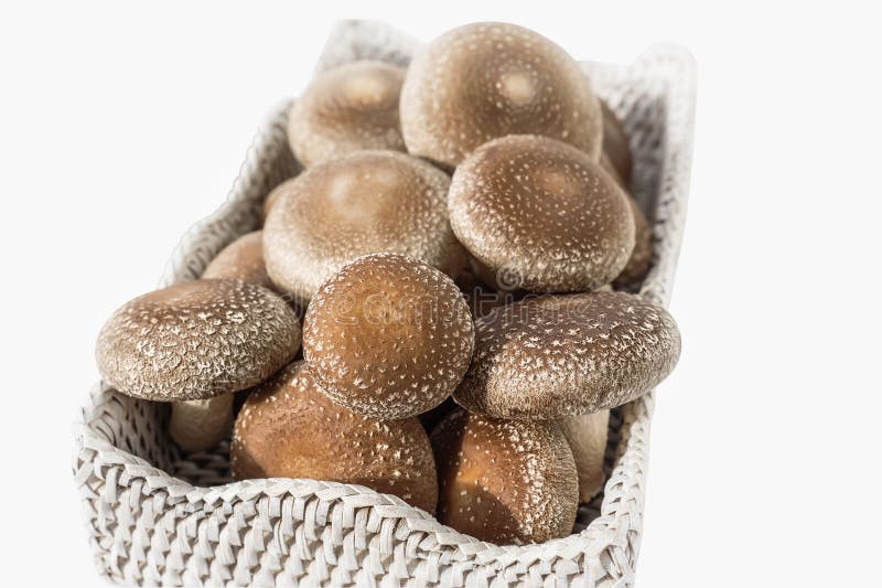 Organic Shitake Mushrooms in Basket and on Stone Stock Image - Image of ...