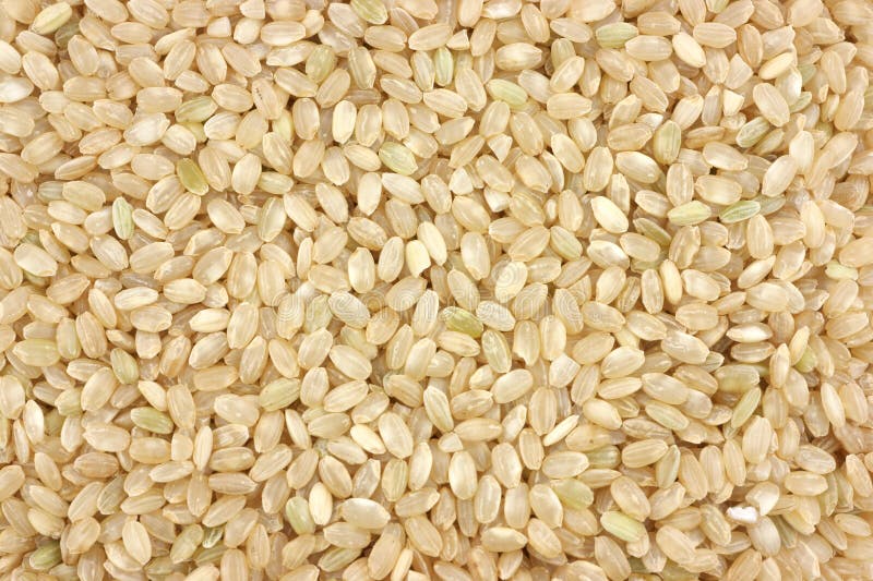 Organic short brown rice stock image. Image of source - 9752139
