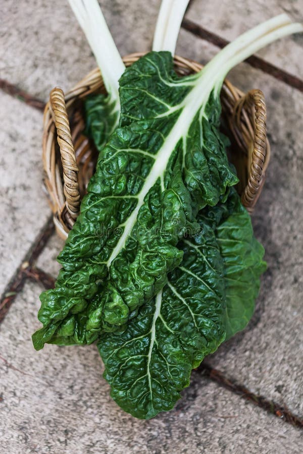 Bunch of Silverbeet on a Rustic Wooden Background Close Up Stock Image ...
