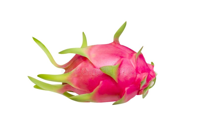 Single Red dragon fruit stock photo. Image of background - 177283914