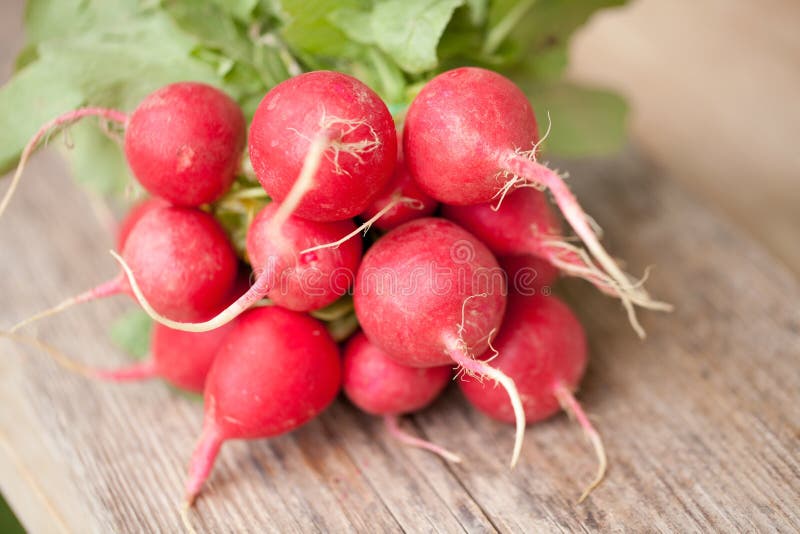Red radishes stock image. Image of radish, bunch, market - 13332661