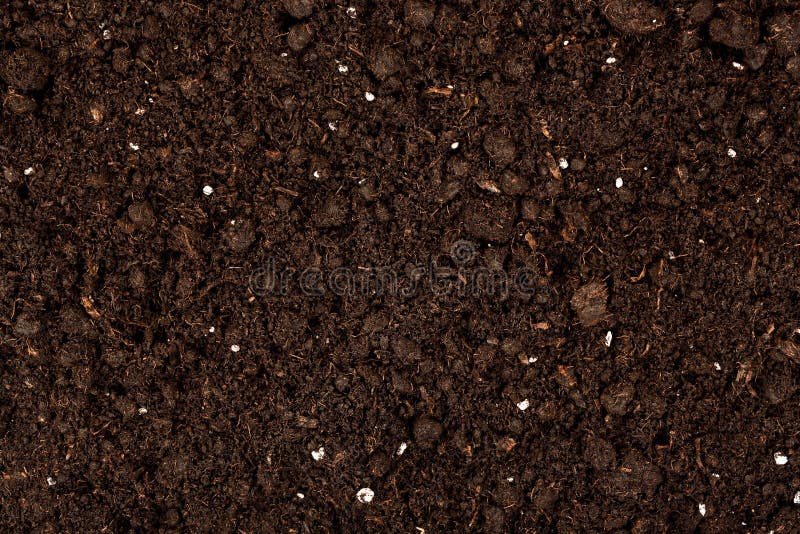 Organic soil background stock photo. Image of rural, empty - 87802632