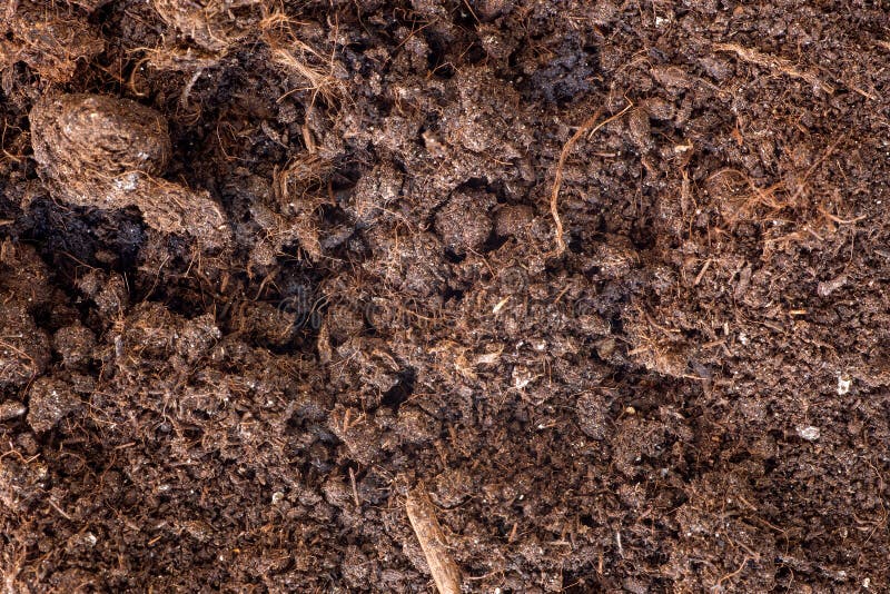 Organic soil close up stock image. Image of organic, close - 93932605