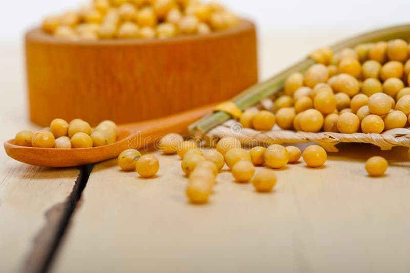 Organic soya beans stock photo. Image of bean, vegan - 241764494