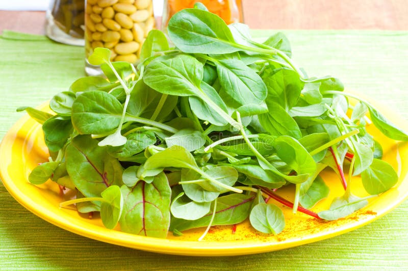 Organic Spring Mix Lettuce stock photo. Image of endive - 18114074