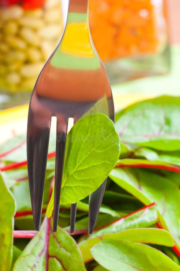 Organic Spring Mix Lettuce stock photo. Image of dietary - 17665870