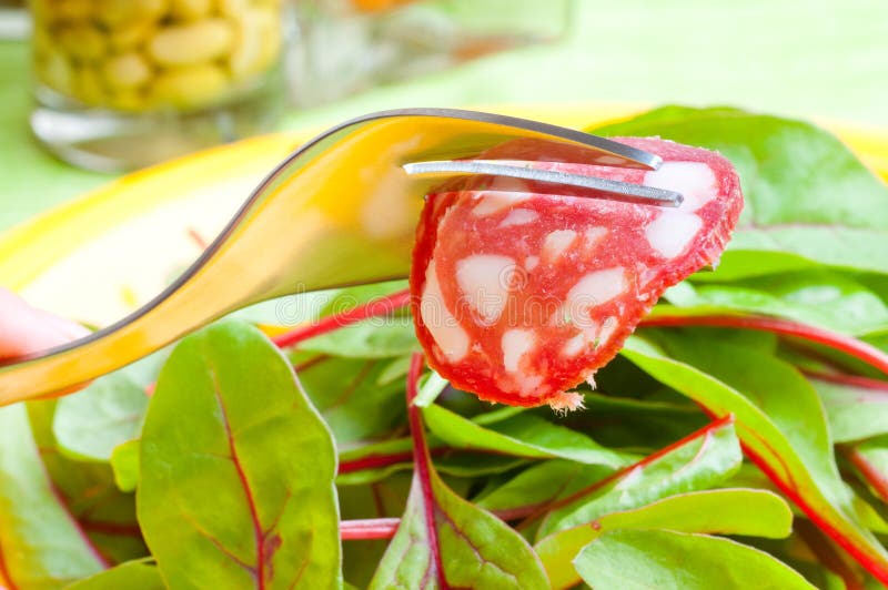 Organic Spring Mix Lettuce stock photo. Image of fresh - 18114072