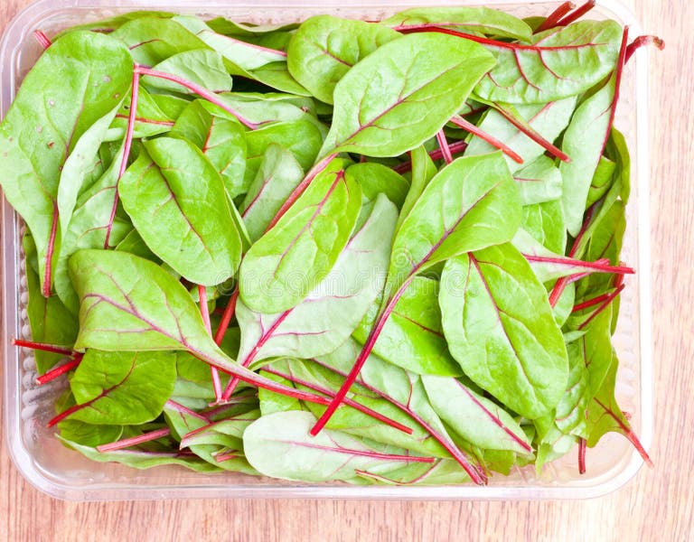 Organic Spring Mix Lettuce stock photo. Image of delicious - 18114088