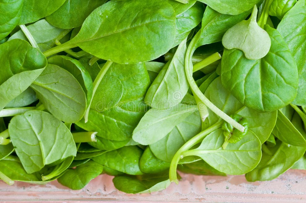 Organic Spring Mix Lettuce stock image. Image of life - 18114089