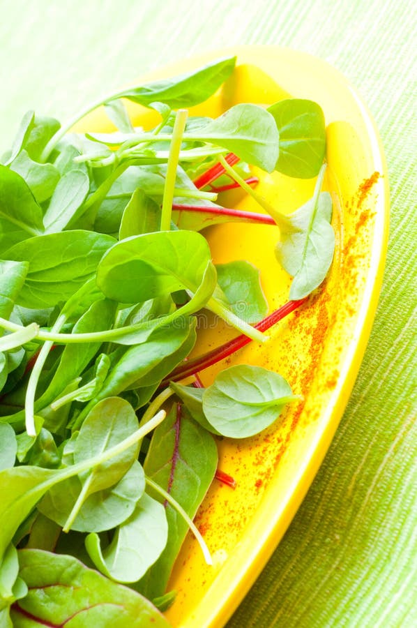 Organic Spring Mix Lettuce stock photo. Image of lifestyle - 7441932