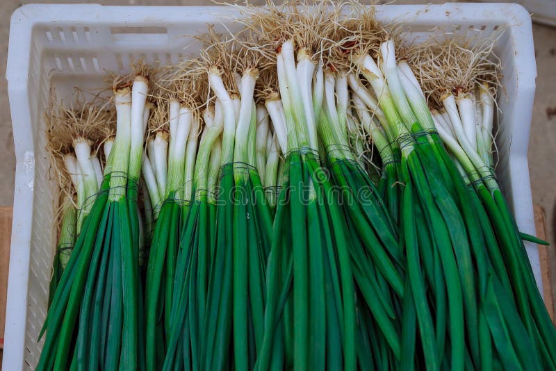 Organic Spring Onions in a White Box. Stock Photo - Image of onion ...