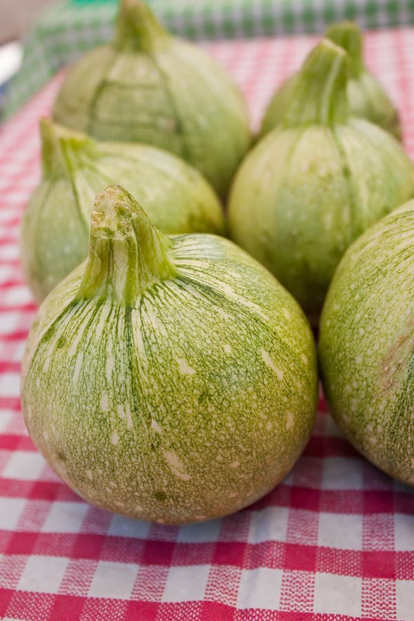Organic squash stock image. Image of harvest, agriculture - 16036517