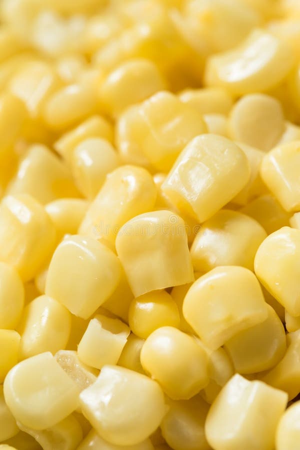 Organic Steamed White Sweetcorn Kernals Stock Photo - Image of grain ...