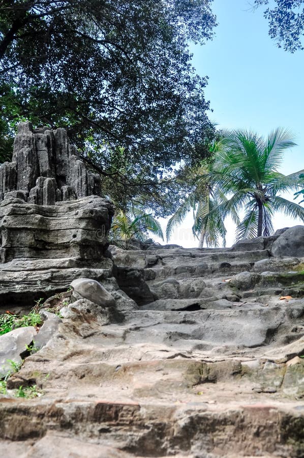 Organic Stone stock photo. Image of pile, tree, geology - 252556906