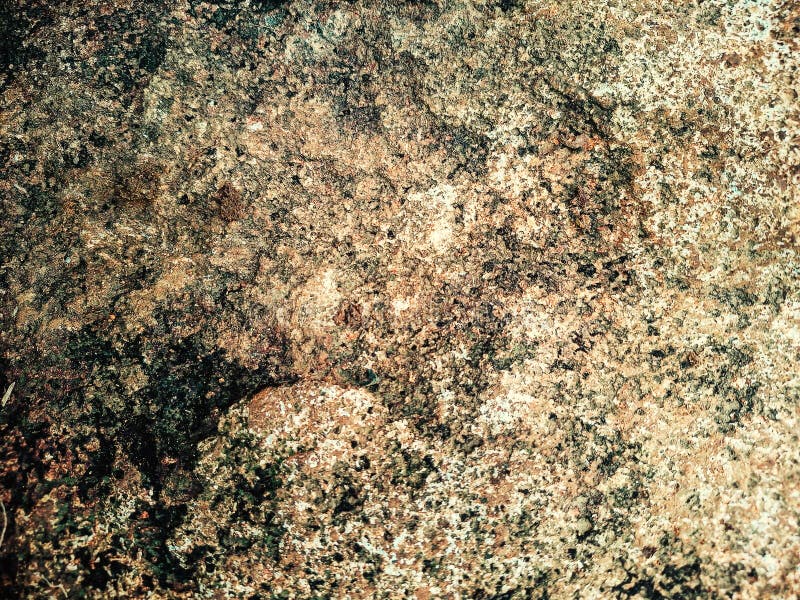 Organic Stone Surface with Moss Growth and Weathered Earth Patterns ...