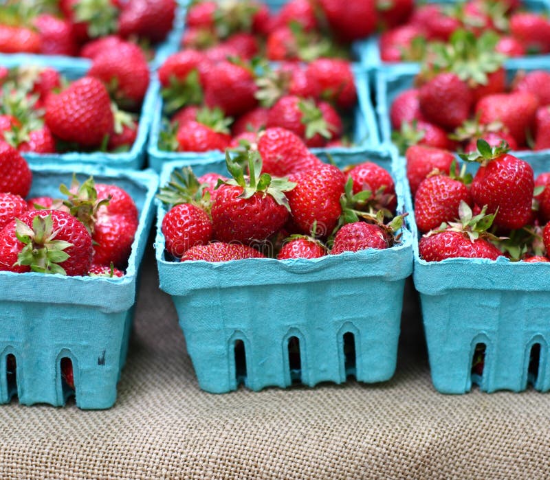 Organic Strawberries stock photo. Image of berries, summer - 15193640