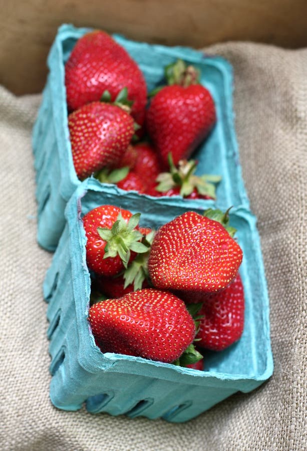 Organic Strawberries stock image. Image of farmer, healthy - 15194175