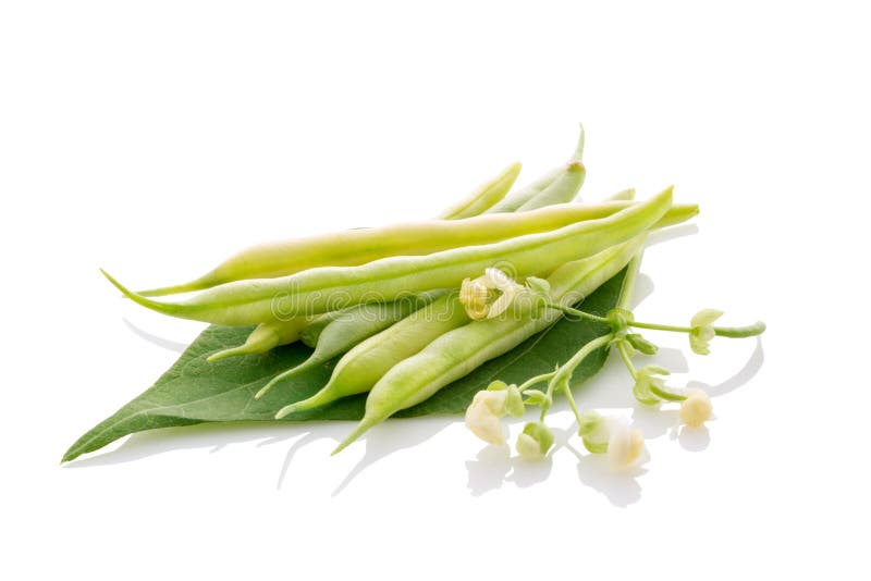 Organic String Bean with Leaves and Blossom Isolated Stock Image ...