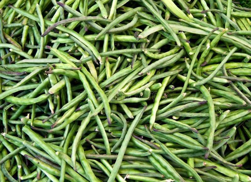 Organic String Beans stock photo. Image of diet, ingredient - 26450140