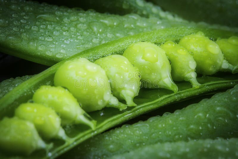 Organic string beans stock photo. Image of vitamin, heap - 31408822
