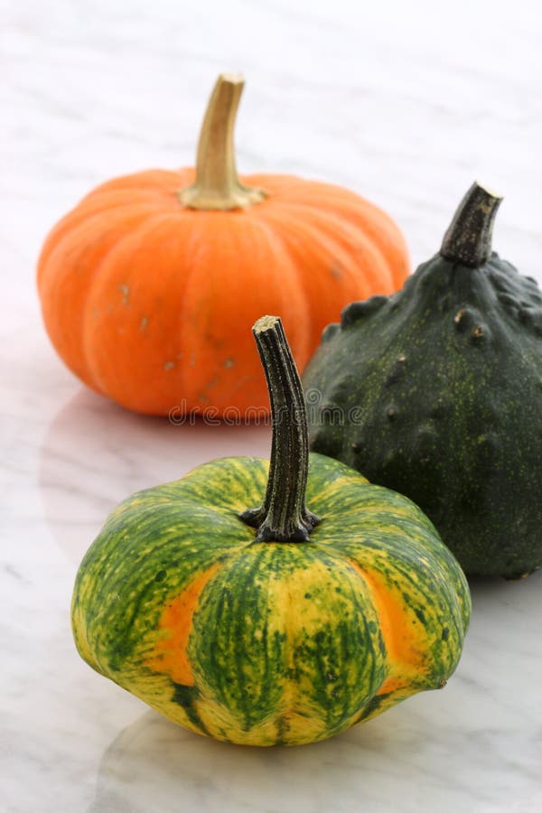 Cousa Squash Stock Photos - Free & Royalty-Free Stock Photos from ...