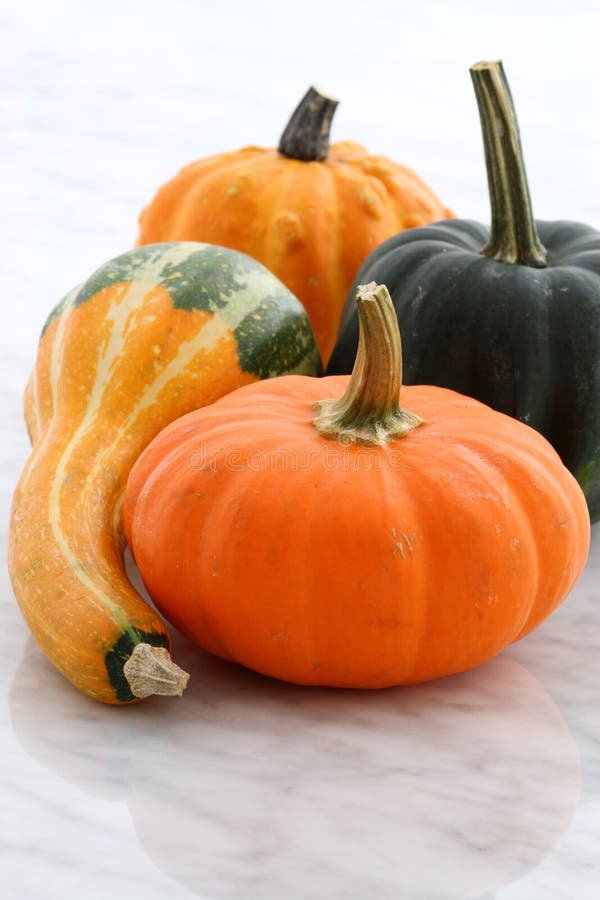 Organic summer squash stock image. Image of organic, collection - 54600119