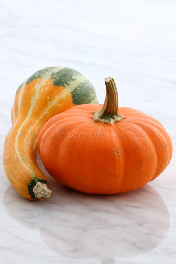 Organic summer squash stock image. Image of cousa, food - 54648423