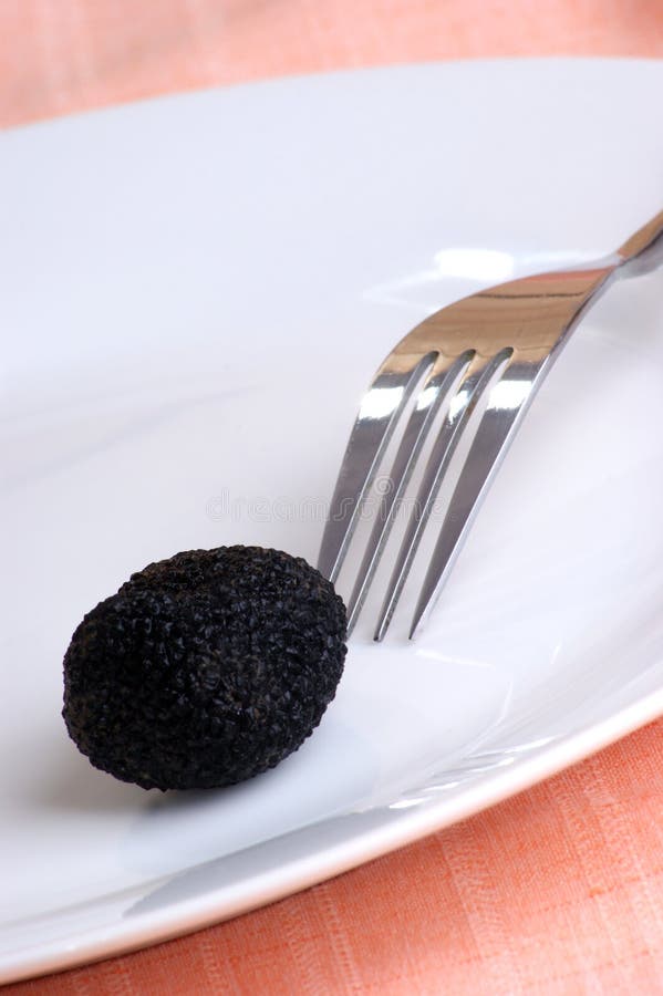 Organic Summer Truffle on a Plate Stock Photo - Image of brown, cooking ...