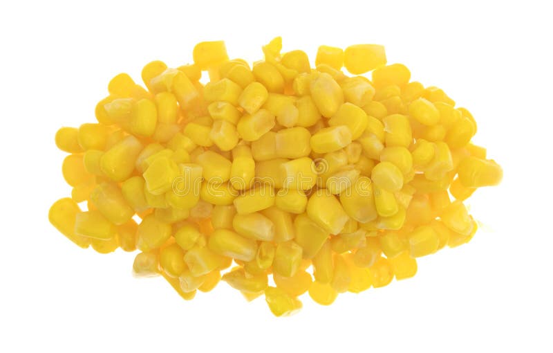 Organic Sweet Corn on a White Background Stock Photo - Image of ...