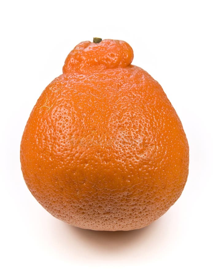 Organic Tangelo stock photo. Image of food, closeup, fresh - 15822540