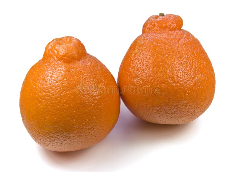 Organic Tangelo stock image. Image of fresh, refreshment - 15822591