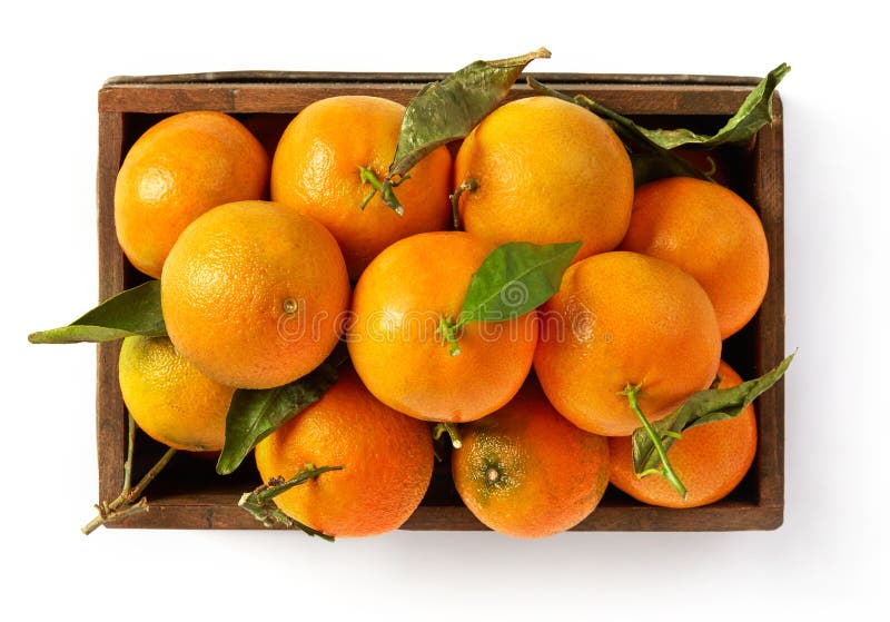Organic Tangerines on White Stock Photo - Image of farm, leaf: 136514360