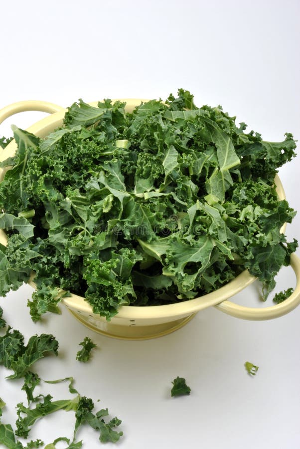 Organic Tender Leaf Curly Kale Stock Photo - Image of kale, health ...