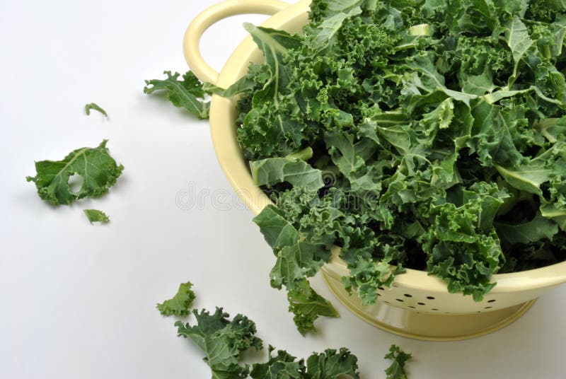 Organic Tender Leaf Curly Kale Stock Image - Image of freshness, food ...