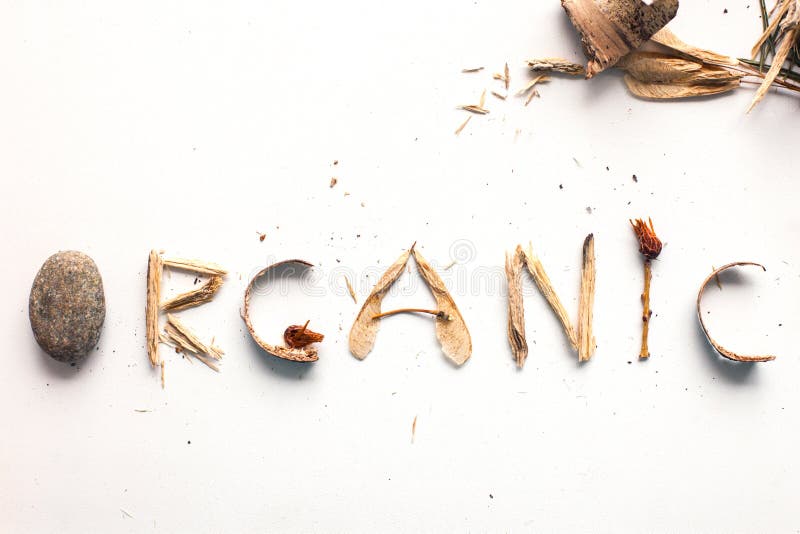Organic Text from Forest Elements, Flat Lay Craft Lettering. Stock ...