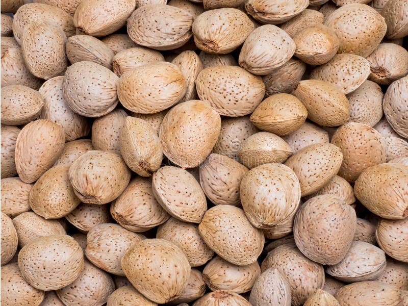Organic Texture of Almond Nuts in Shell Top View, Almonds Macro ...