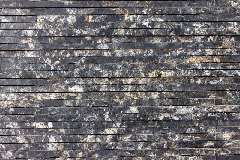 Organic texture stock photo. Image of white, black, parallel - 269333592