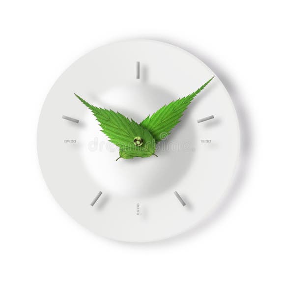 Organic time stock illustration. Illustration of organic - 16141057